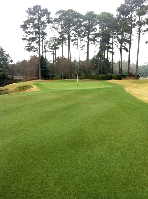 West Coast Turf supplies water & cost saving Endurant turf colorant in ...